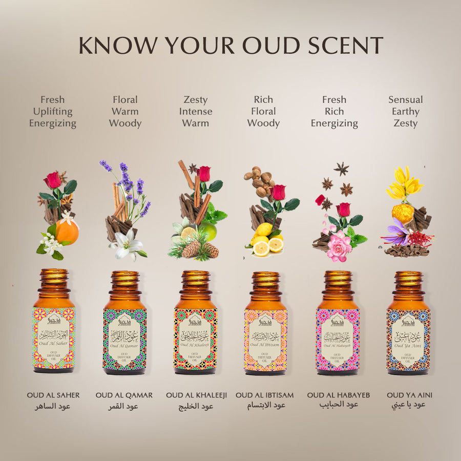 Oud Essential Oil Diffuser Gift Set | 6 x 10ml Arabic Oil – Dukhni ...